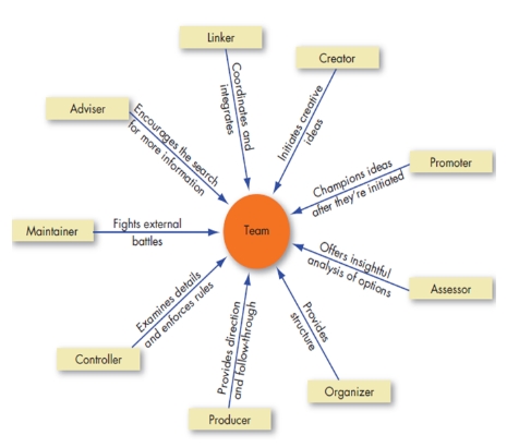 SOLUTION: Key Roles of Teams Discussion - Studypool